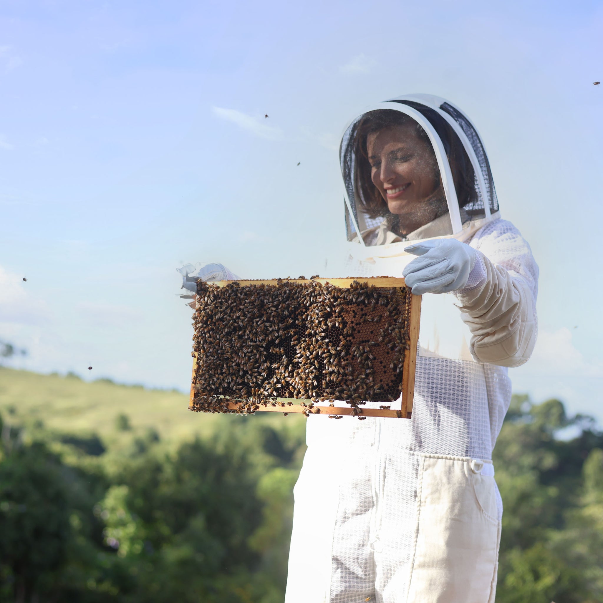 Flow Bee Suit – Mesh - Flow Hive US