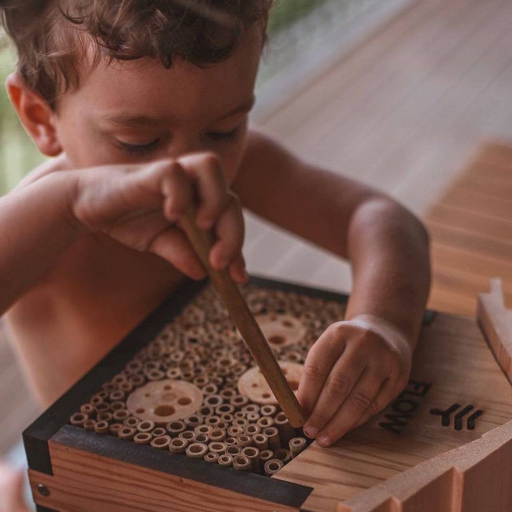 Flow Pollinator House l Flow Hive - Flow Hive US