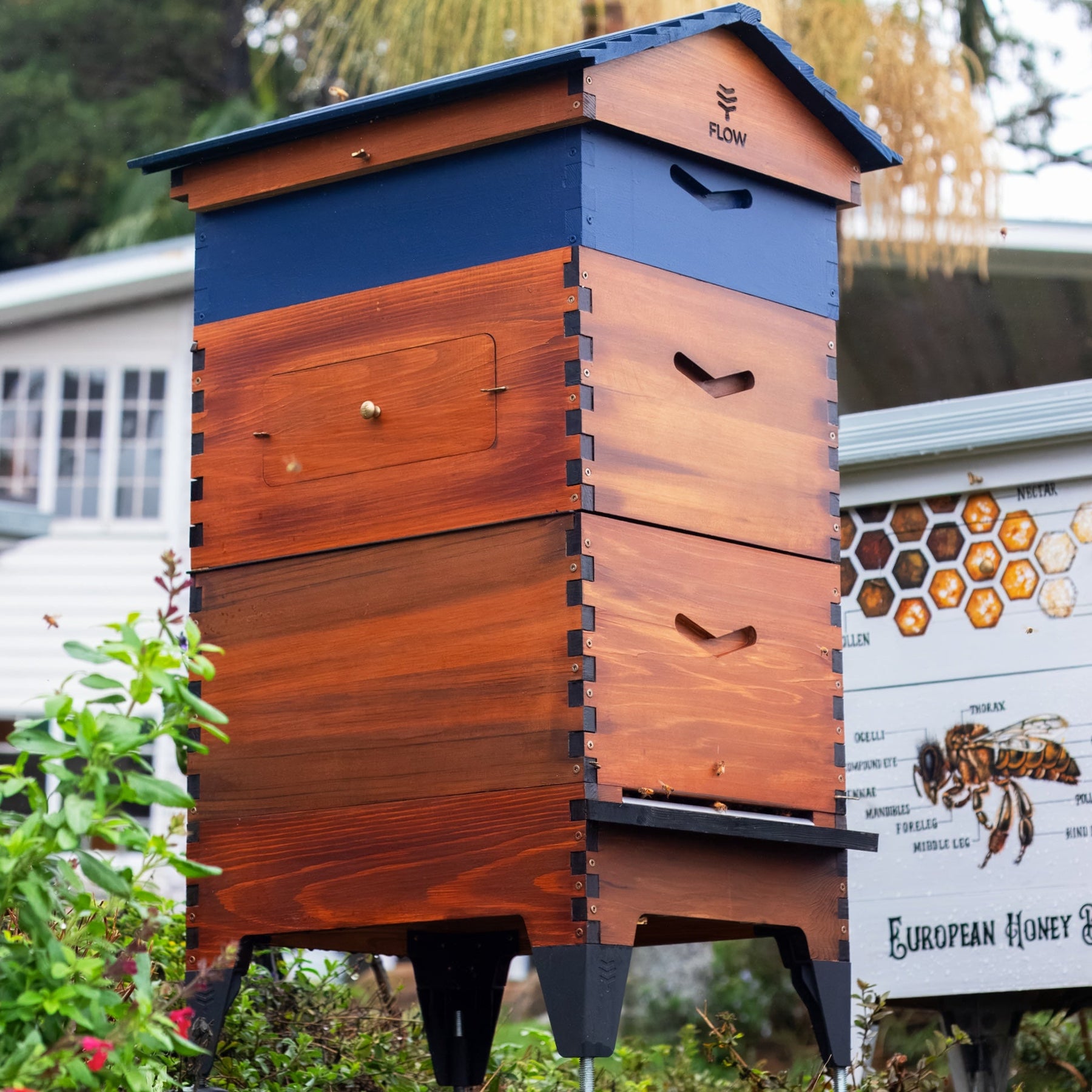 Flow Supers and Brood Boxes - Flow Hive US