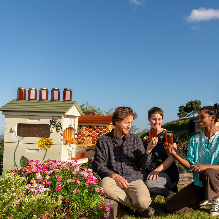 Starter Bundle - Flow Hive US