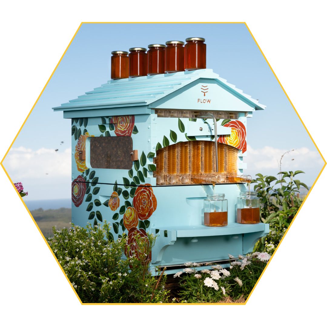 Spring is here, so NOW is the time to get started - Flow Hive US
