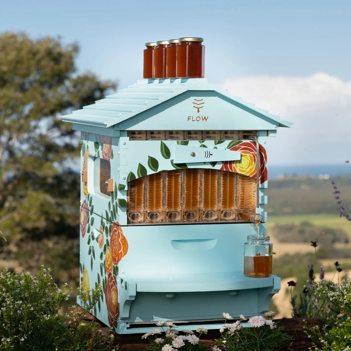 Flow Hive Classic | The perfect starter beehive - Flow Hive US