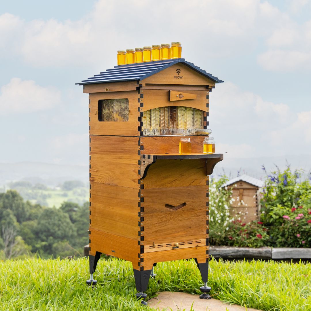 Brood Box Flow Hive 2 Plus l Honey On Tap Beehive - Flow Hive US
