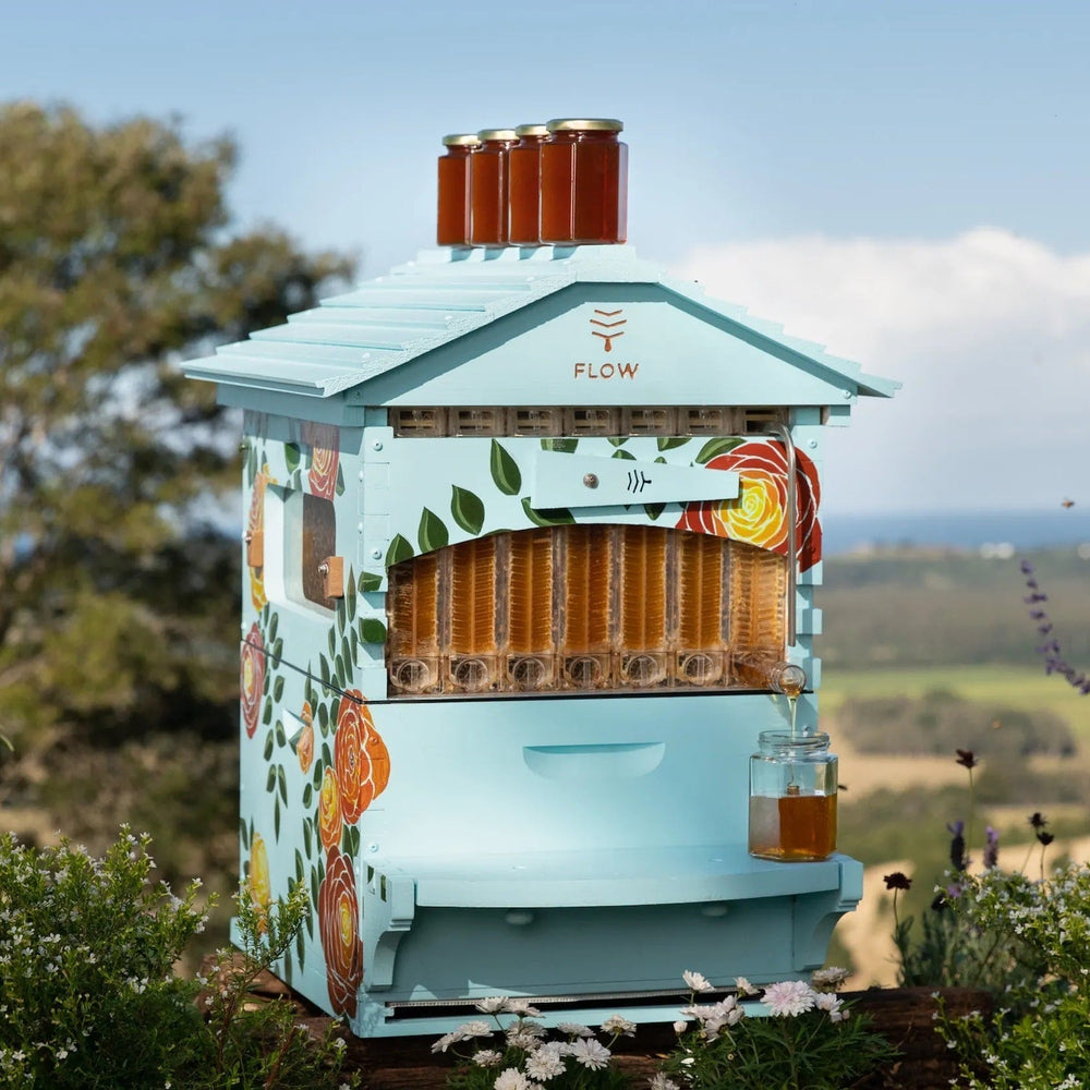 Starter Bundle | Complete beehive starter kit for beginner beekeepers ...