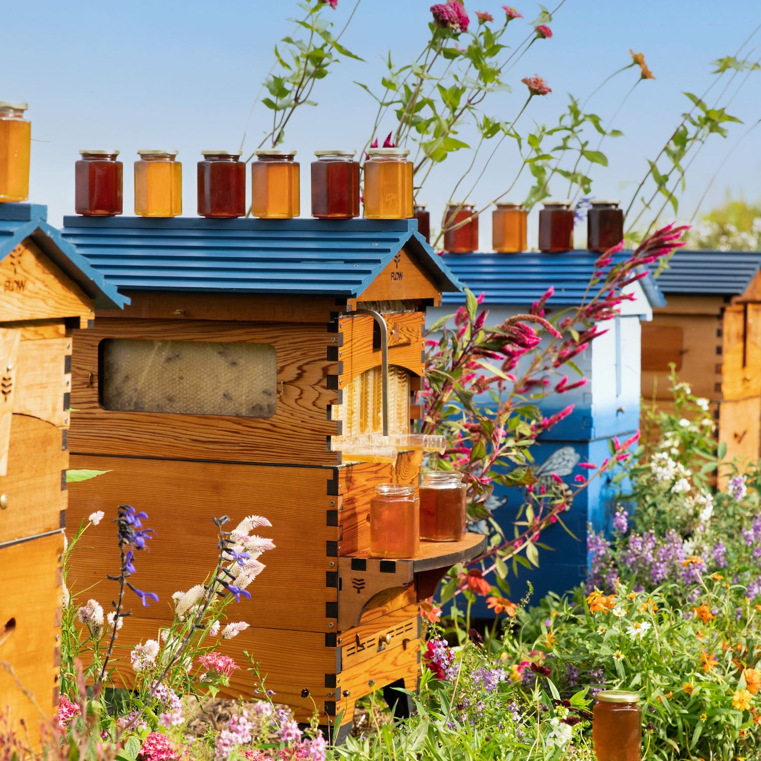 Flow Super – Flow Hive 2+ - Flow Hive US