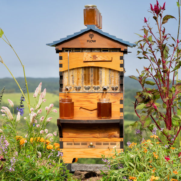 Starter Bundle | Complete beehive starter kit for beginner beekeepers ...
