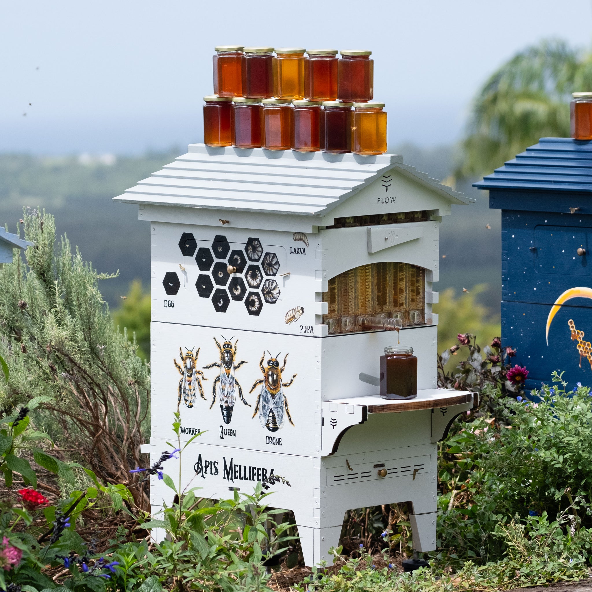 Flow Hive 2 | Honey straight from the beehive - Flow Hive US
