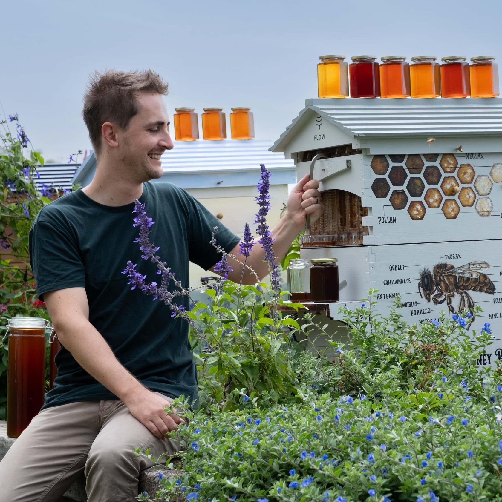 Flow Hive 2 | Honey straight from the beehive - Flow Hive US