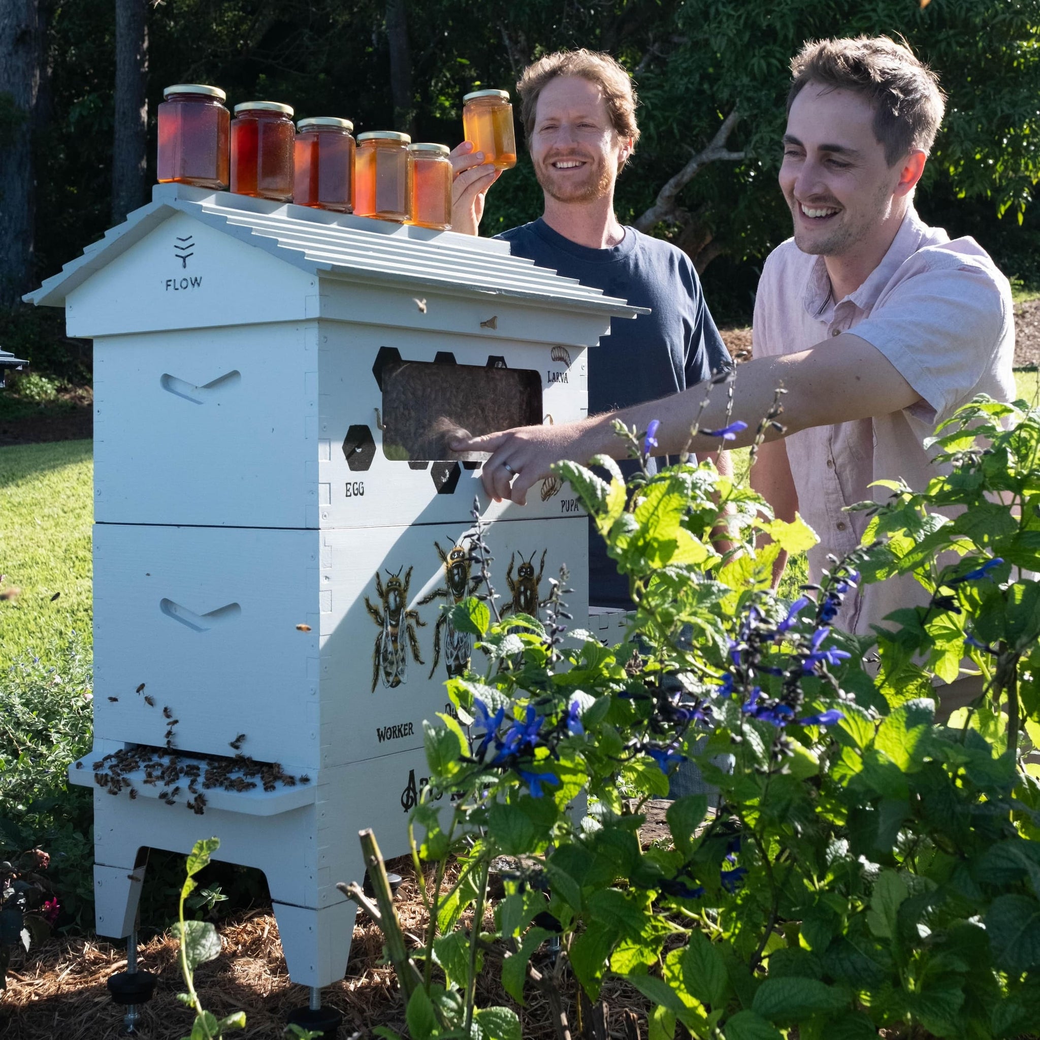 Flow Hive 2 | Honey straight from the beehive - Flow Hive US