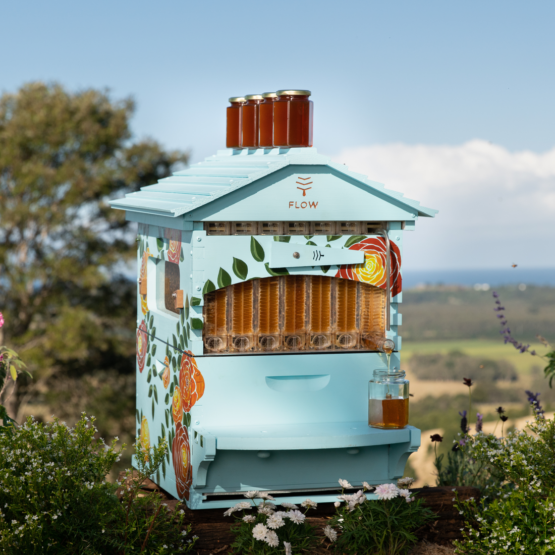 How to Start Beekeeping in Summer | Flow - Flow Hive US