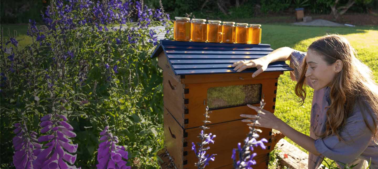 Spring is the time to get your beehive starter kit - Flow Hive US