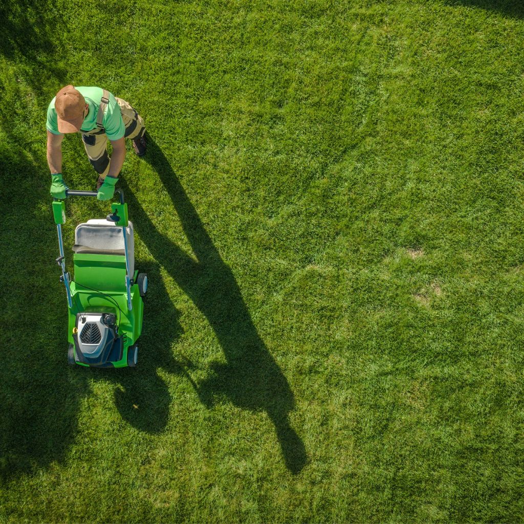 How to Help the Bees - Flow Hive US