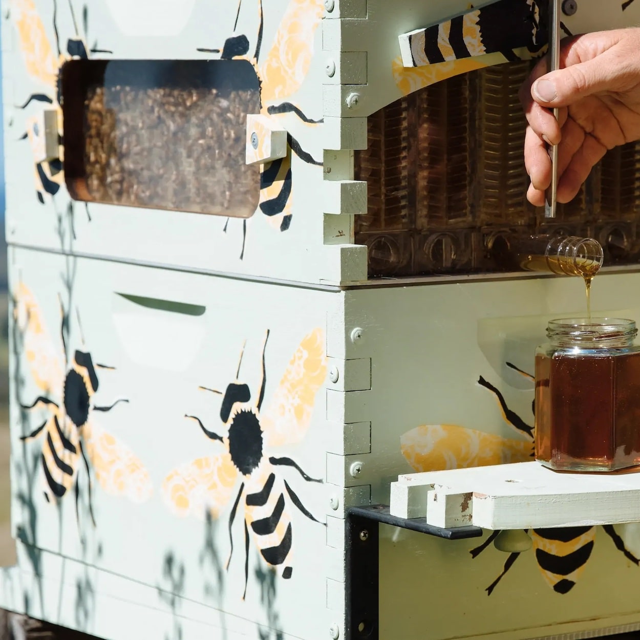 Flow Hive Classic | The perfect starter beehive - Flow Hive US