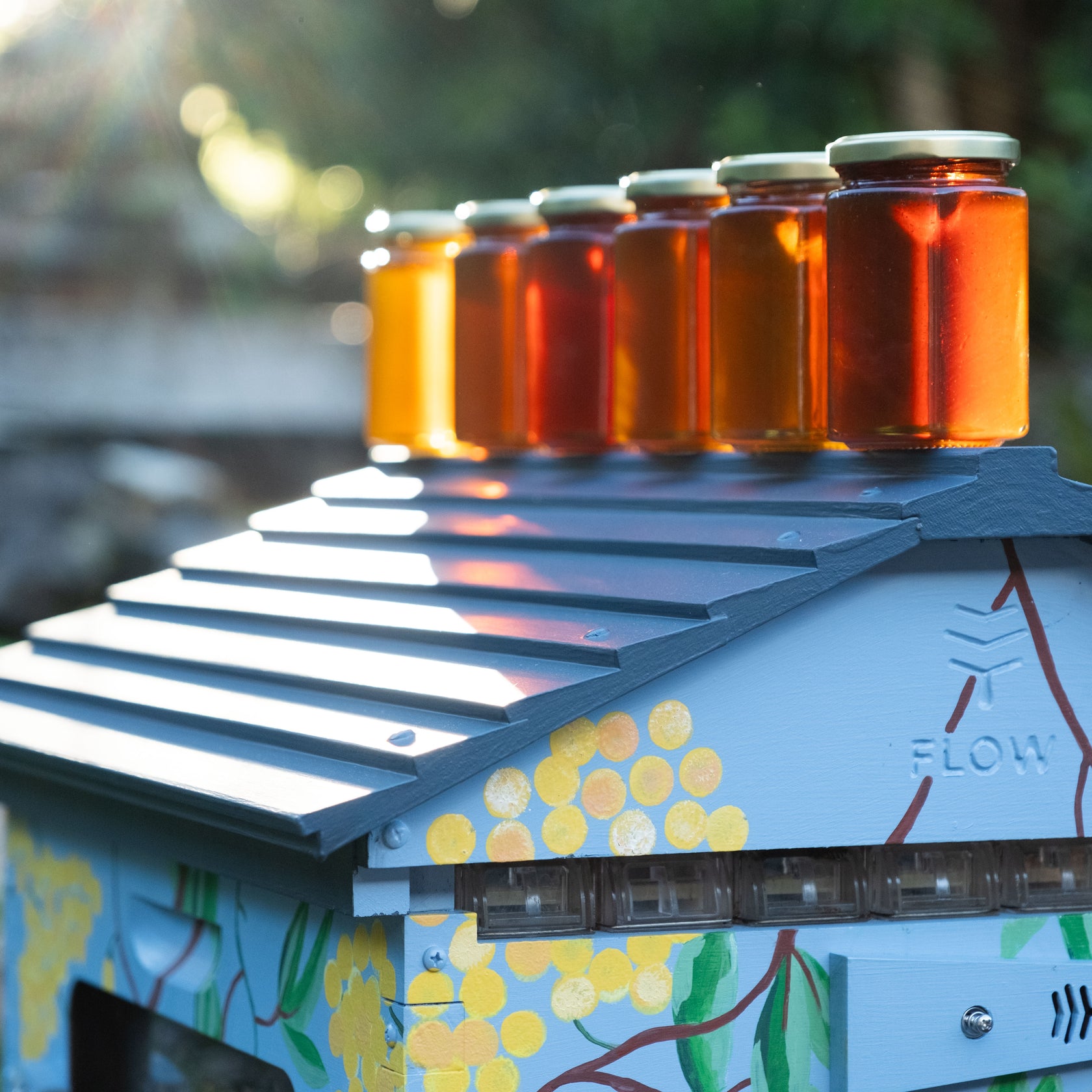 Flow Hive Classic | The perfect starter beehive - Flow Hive US