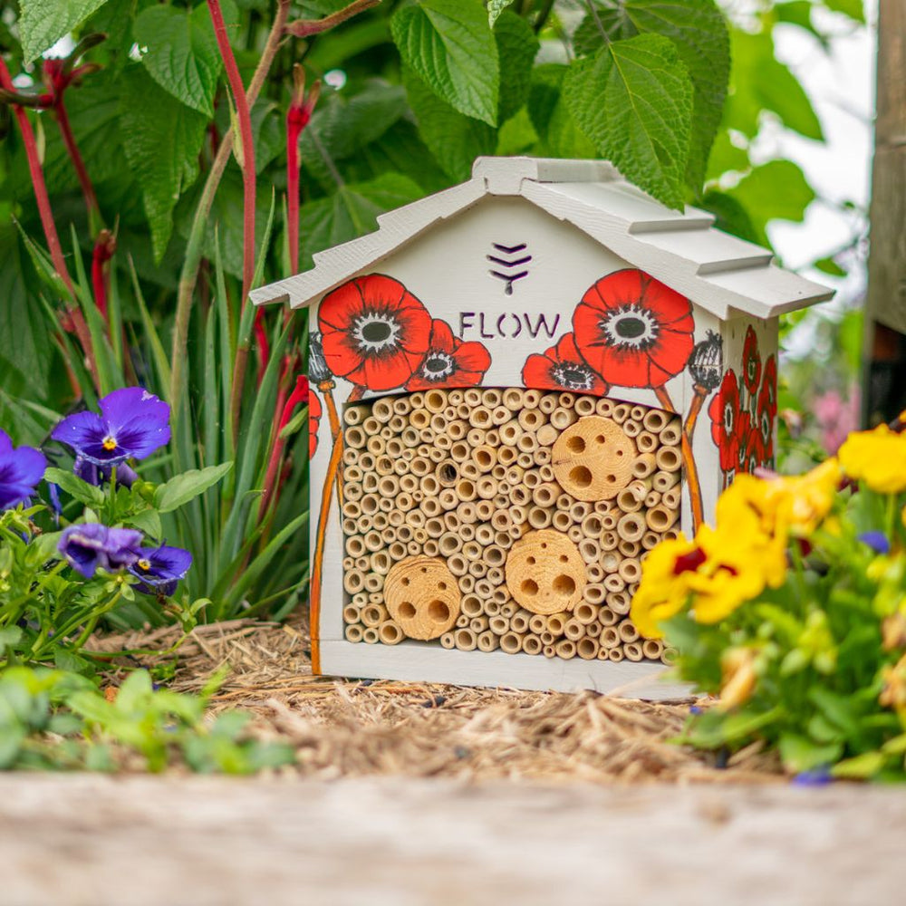 How to Help the Bees - Flow Hive US