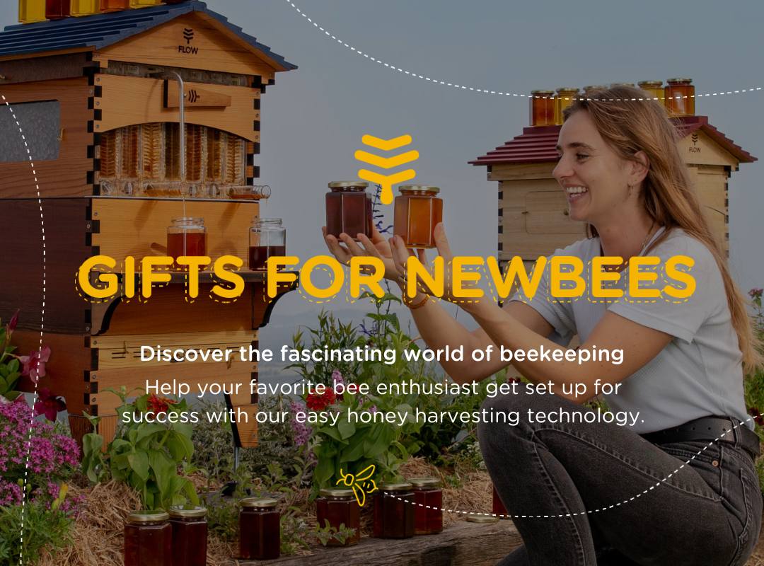 Newbees gift guide | Shop for friends who want to get into beekeeping ...