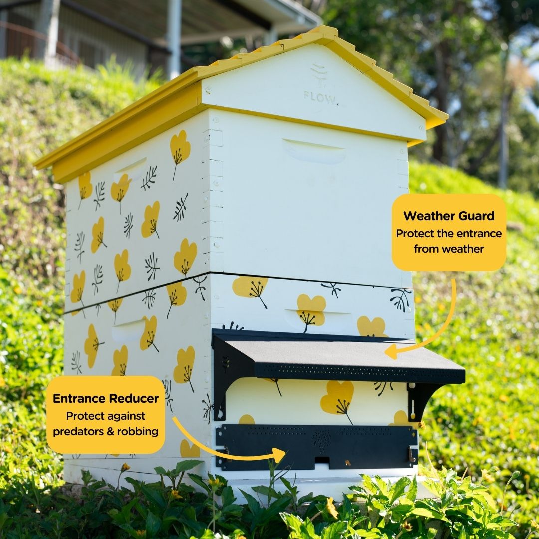 Beehive Starter Kit for US | Starter Bundle - Flow Hive US