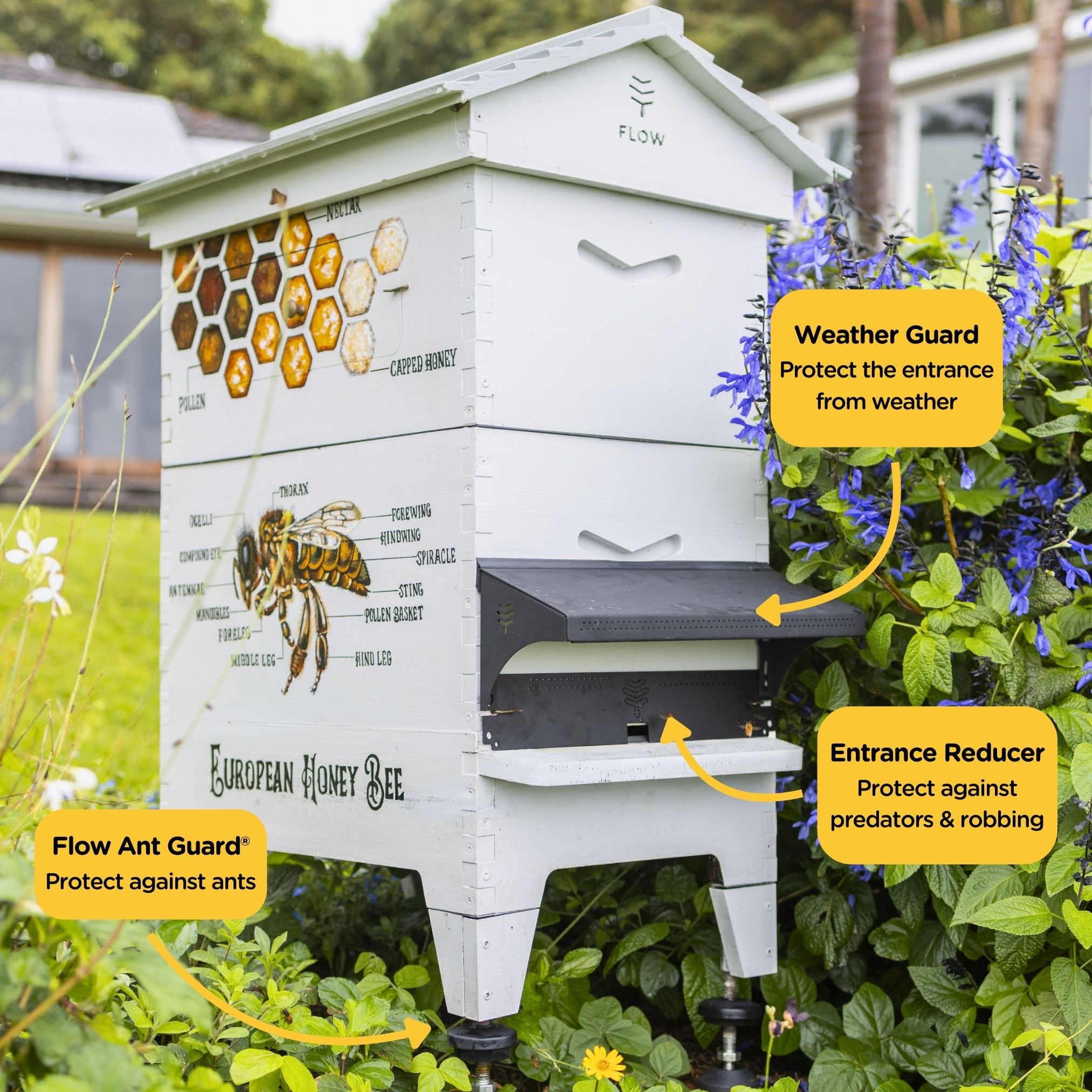 Beehive Starter Kit for US | Starter Bundle - Flow Hive US