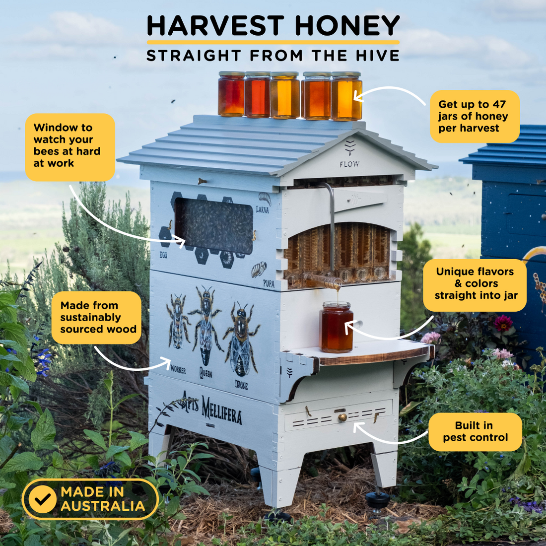 Spring is the time to get your beehive starter kit - Flow Hive US