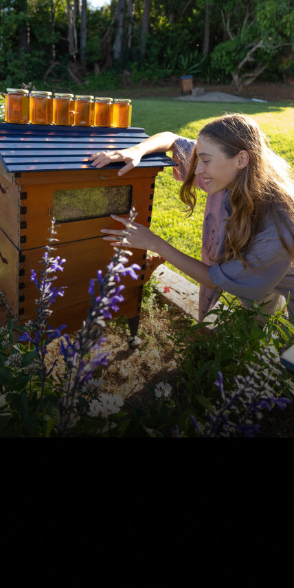 Spring Guide for Experienced Beekeepers - Flow Hive US