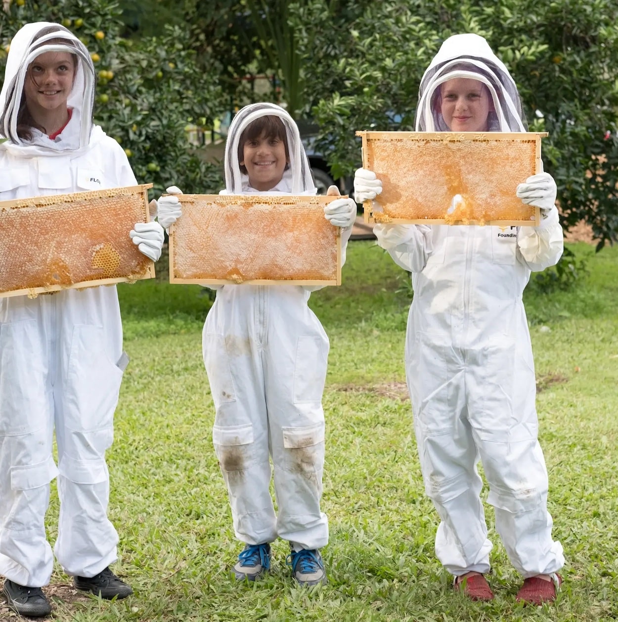 Flow Hive Hybrid | Harvest both fresh honeycomb and honey - Flow Hive US