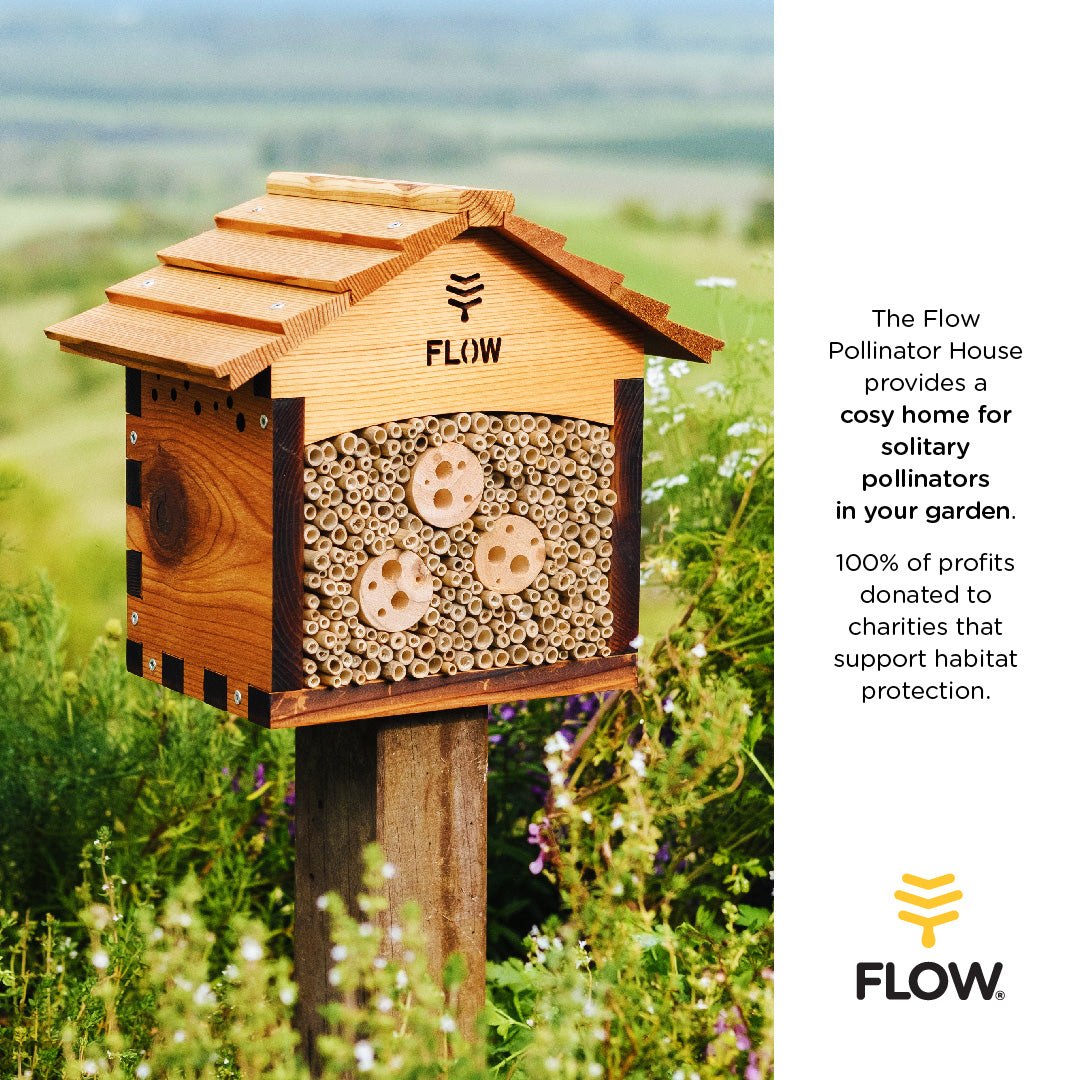 Pollinator House - Flow Hive US