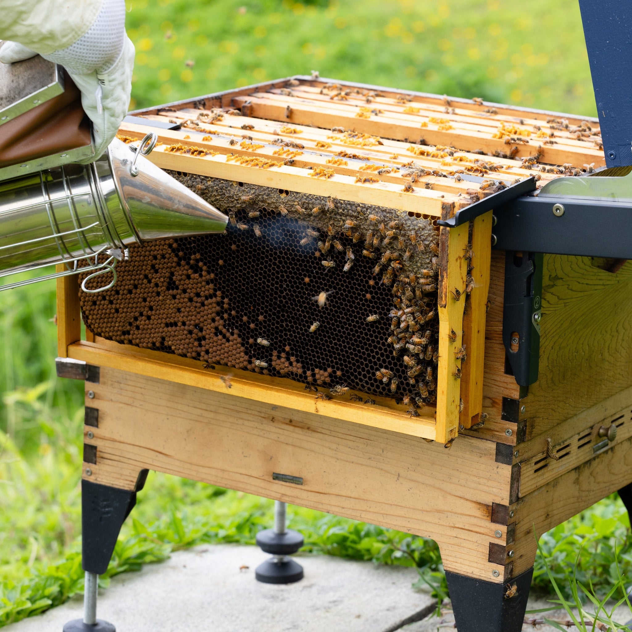 Flow Inspection Frame Rests - Flow Hive US