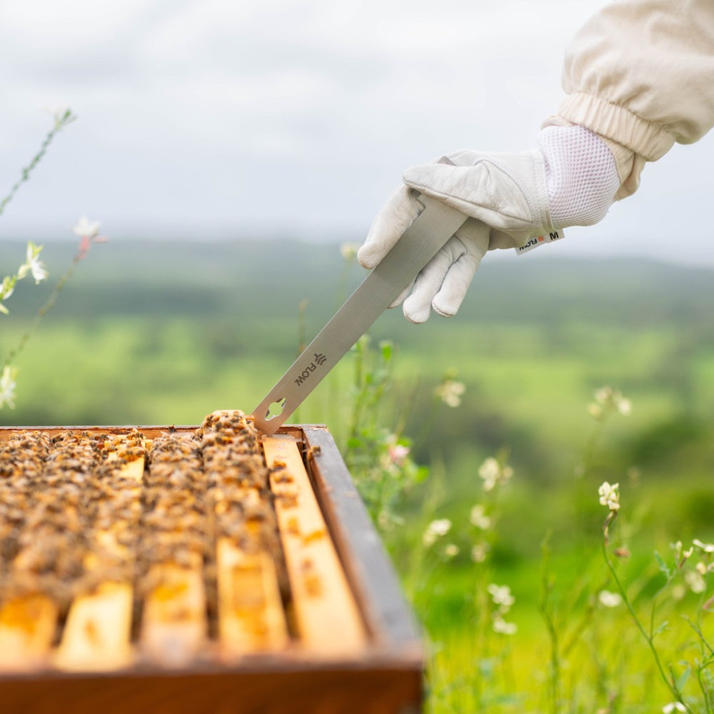 Spring Guide for Experienced Beekeepers - Flow Hive US