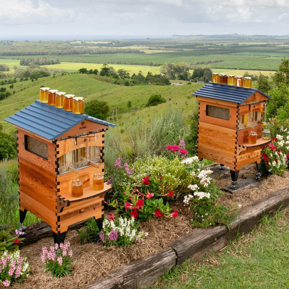Spring Guide for Experienced Beekeepers - Flow Hive US
