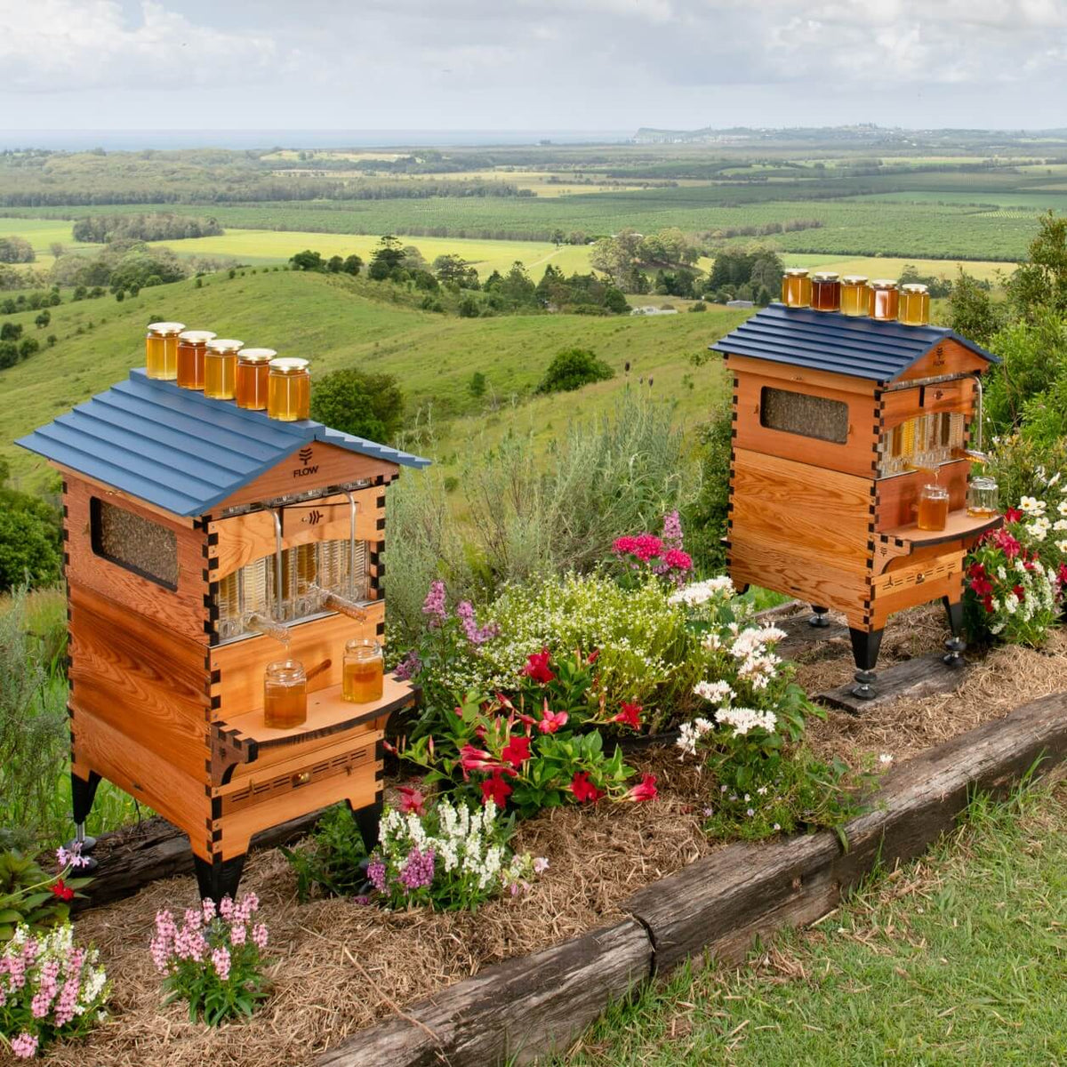 Spring Guide for Experienced Beekeepers - Flow Hive US