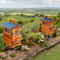Spring Guide for Experienced Beekeepers - Flow Hive US