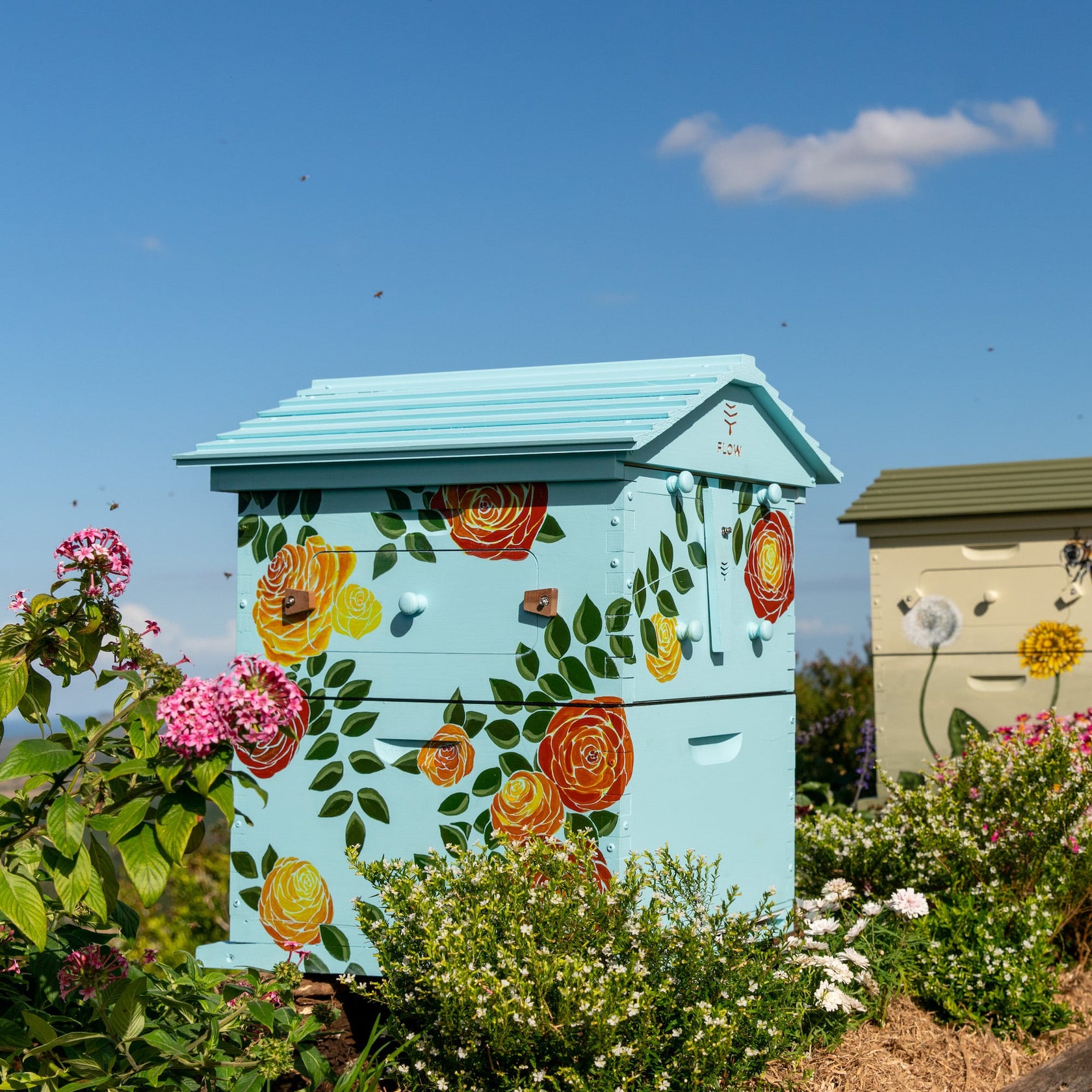 Flow Hive Classic | The perfect starter beehive - Flow Hive US