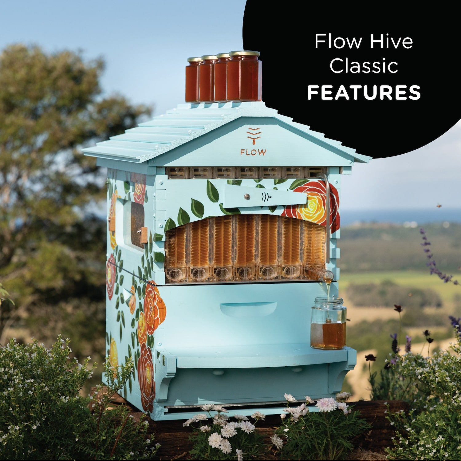 Flow Hive Classic | The perfect starter beehive - Flow Hive US