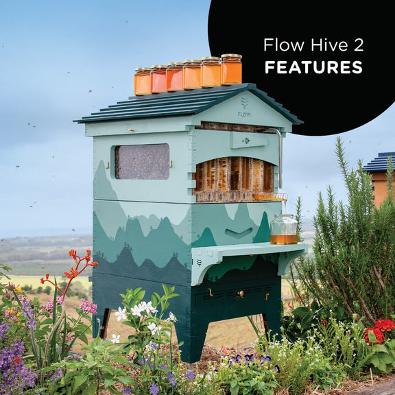 Spring is the time to get your beehive starter kit - Flow Hive US