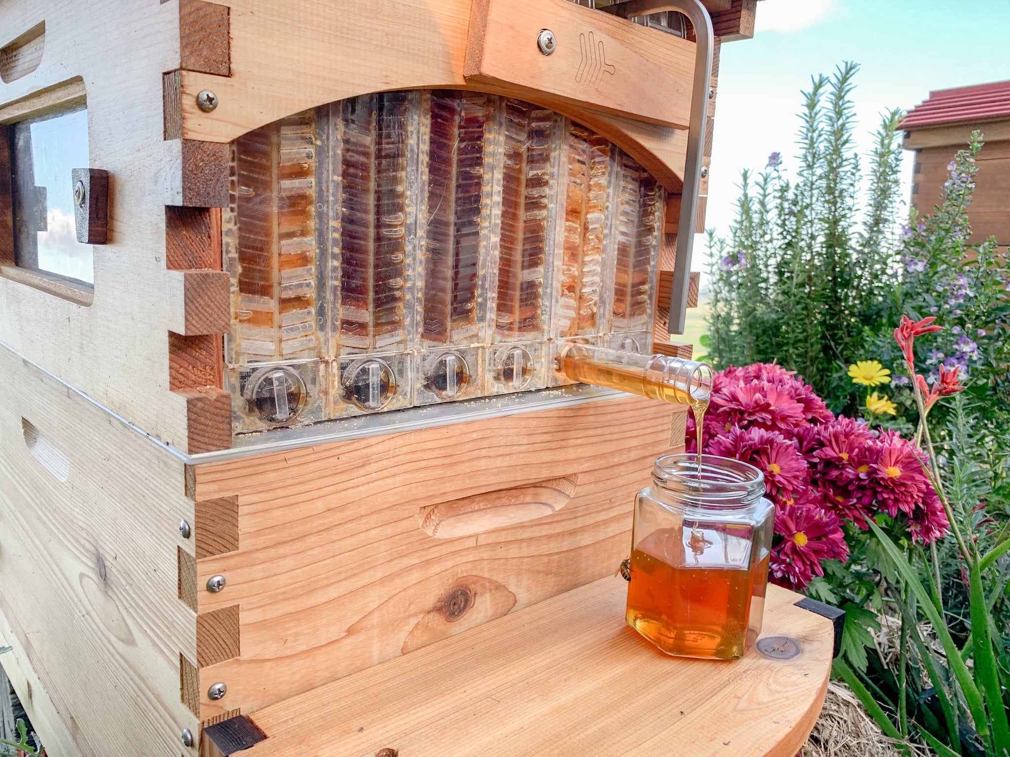 Flow Frames l Flow Hive Honey On Tap Beehive - Flow Hive US