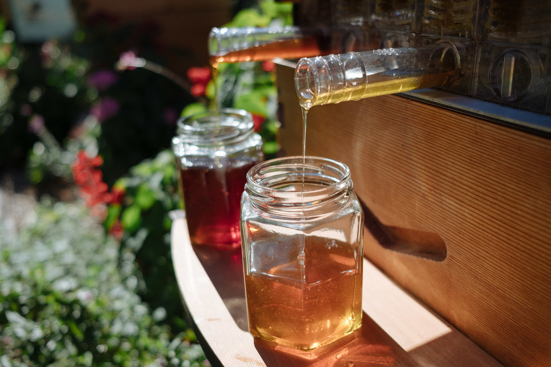 Flow Frames l Flow Hive Honey On Tap Beehive - Flow Hive US